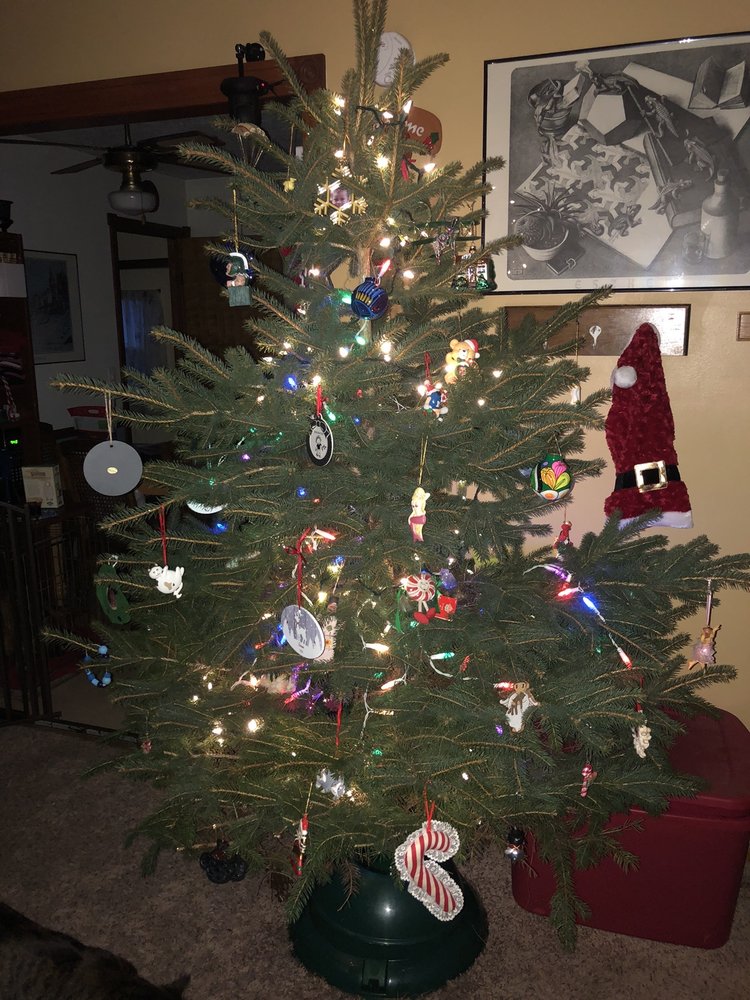 HASLETT ROAD CHRISTMAS TREE FARM - Updated September 2025 - 1480 ...