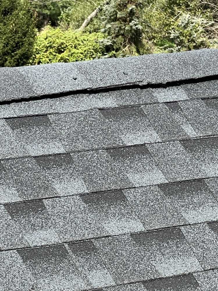 SUNTUITY SOLAR - Updated December 2025 - 48 Photos & 40 Reviews - 2137 ...