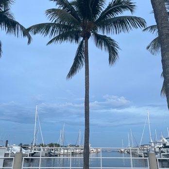 DINNER KEY MARINA - Updated October 2025 - 95 Photos & 22 Reviews ...