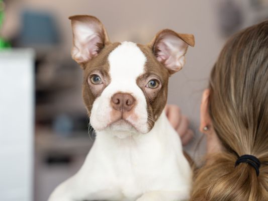 PETLAND WEBSTER - Updated December 2025 - 131 Photos & 82 Reviews ...