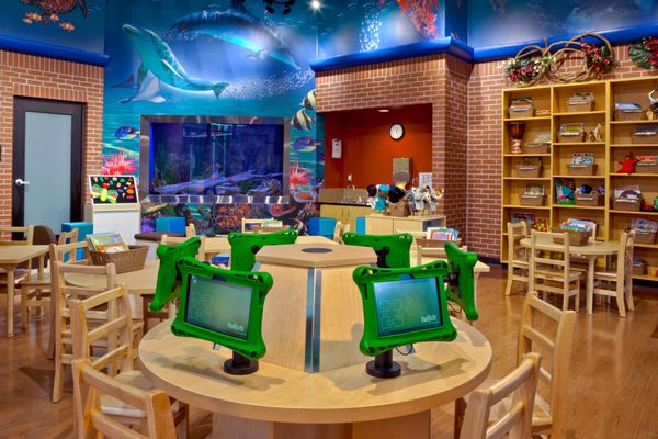 CHILDREN’S LEARNING ADVENTURE - Updated December 2025 - 41 Photos & 40 ...