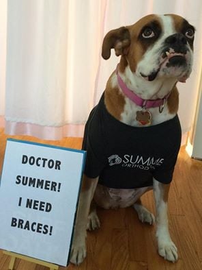 SUMMER ORTHODONTICS - Updated November 2025 - 16 Photos & 57 Reviews ...