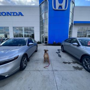 NAPLETON CHEVROLET ST. CHARLES - Updated July 2025 - 11 Reviews - 2015 ...