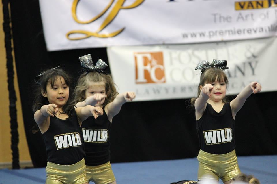 WILD CHEER ATHLETICS - Updated December 2025 - 13 Photos - 194 Killam ...