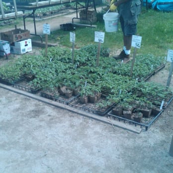 BERBERIAN’S FARM - Updated January 2026 - 15 Photos & 32 Reviews - 68 ...