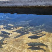 POWDER MILLS PARK - 101 Photos & 17 Reviews - Parks - 154 Park Rd ...