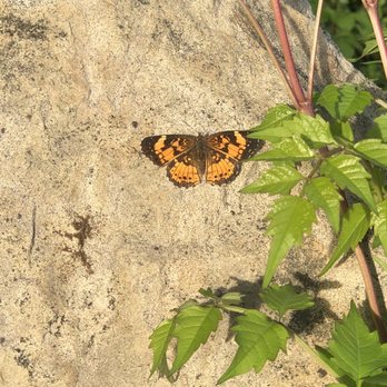 FRONTIER FALLS - Updated January 2026 - 24 Photos & 12 Reviews - 545 ...