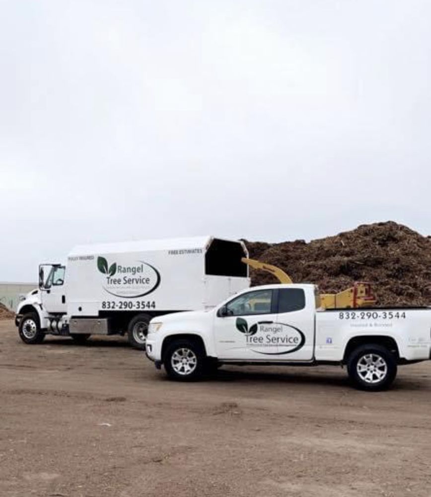 RANGEL TREE SERVICE - Updated December 2025 - 23 Photos - 1323 Fm 362 ...
