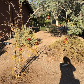 CANYON RANCH TUCSON - Updated December 2024 - 141 Photos & 52 Reviews ...