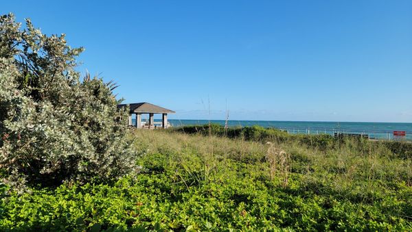 HUMISTON BEACH PARK - 84 Photos & 15 Reviews - 3000 Ocean Dr, Vero ...