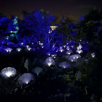 LIGHTSCAPE SAN DIEGO - Updated November 2024 - 189 Photos & 38 Reviews ...