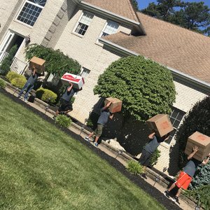 DUMBO MOVING & STORAGE - Updated June 2024 - 1113 Photos & 1776 Reviews ...