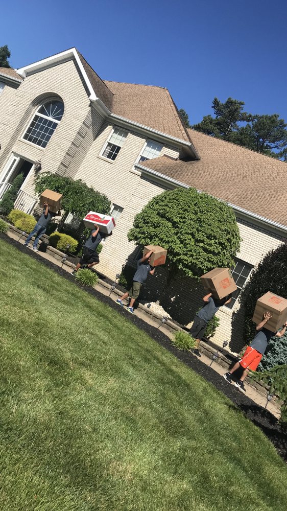 OPTIMUM MOVING - Updated January 2025 - 108 Photos & 283 Reviews - 201 ...