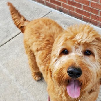 SNICKERSDOODLES - Updated January 2026 - 73 Photos & 42 Reviews - Weir ...