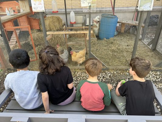 MERLIN DAY ACADEMY - Updated December 2025 - 58 Photos - 3319 N Elston ...