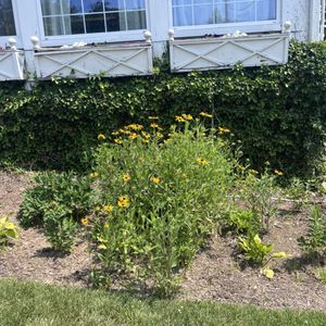 ZINNIA - 172 Photos & 134 Reviews - 9201 Colesville Rd, Silver Spring ...