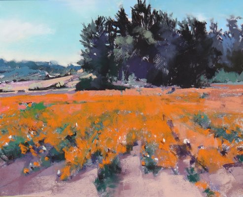 SCOTT MILO GALLERY - Updated May 2024 - 37 Photos - 420 Commercial Ave ...