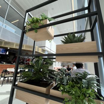 BAR DOUGH - Updated December 2025 - 65 Photos & 64 Reviews - 8500 Pena ...