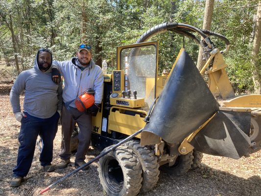 JL TREE SERVICE - Updated December 2025 - 138 Photos & 148 Reviews ...