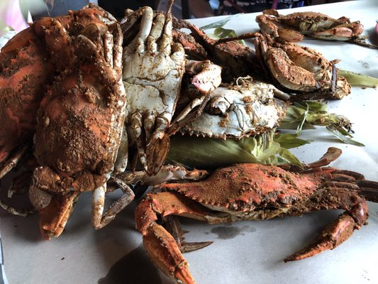 CRAB BAG - 575 Photos & 808 Reviews - Seafood - 13005 Coastal Hwy ...