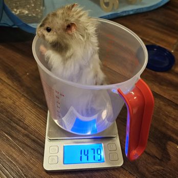 BRICKYARD ANIMAL HOSPITAL - Updated January 2026 - 57 Reviews - 1213 E ...