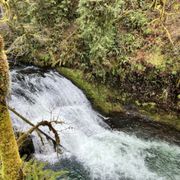 SILVER FALLS STATE PARK - 1397 Photos & 310 Reviews - 20024 Silver ...