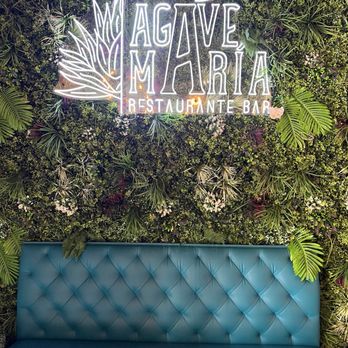 AGAVE MARIA - Updated December 2025 - 459 Photos & 186 Reviews - 170 ...