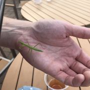 THE ROCK SPORTS COMPLEX - 56 Photos & 44 Reviews - 7900 Crystal Ridge ...