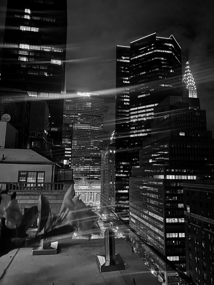 Roof At 66 Park, New York | Roadtrippers