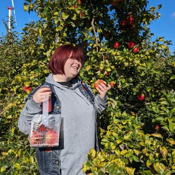 APPLE HOLLER - Updated May 2025 - 391 Photos & 643 Reviews - 5006 S ...