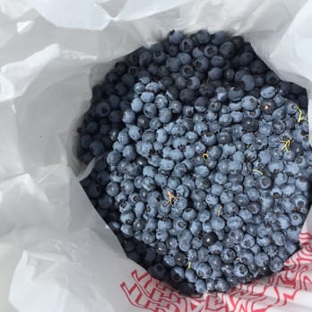 MERCER SLOUGH BLUEBERRY FARM - Updated December 2025 - 25 Photos & 12 ...