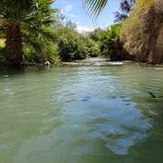 PALM CREEK RV RESORT AND PICNIC GROUNDS - 106 Photos & 38 Reviews ...