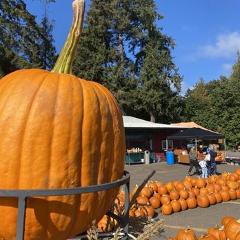 FIR POINT FARMS - TEMP. CLOSED - Updated December 2025 - 172 Photos ...