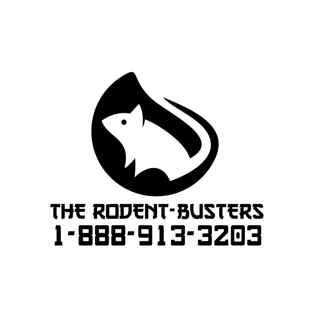 THE RODENT BUSTERS - Updated April 2025 - 2001 Addison St, Berkeley ...