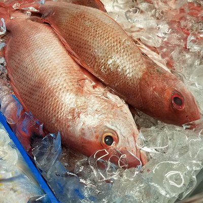 WORLD FISH MARKET - Updated December 2025 - 10 Reviews - 1023 Blue ...