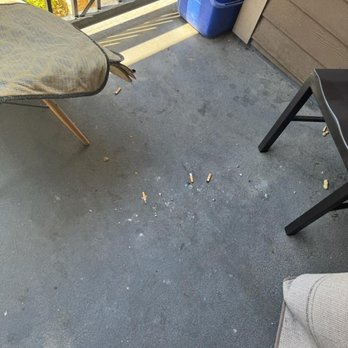 SAGA RENO - Updated January 2026 - 41 Photos & 79 Reviews - 2780 ...