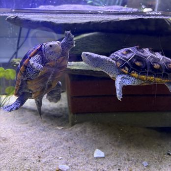 BIOMES - Updated December 2025 - 166 Photos & 89 Reviews - 6640 Post Rd ...