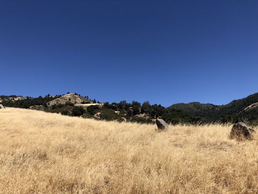SANTA YSABEL PRESERVES - 165 Photos & 34 Reviews - 500 Farmer Rd ...