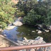 RAINBOW POOLS - Updated September 2024 - 67 Photos & 34 Reviews - Ca ...