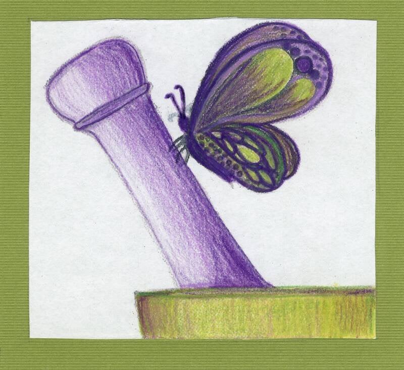 PURE COMPOUNDING PHARMACY - Updated January 2026 - 603 E Diehl Rd ...