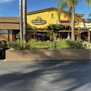 THE NAUTICAL BEAN COFFEE HOUSE & BISTRO - Updated February 2025 - 347 ...