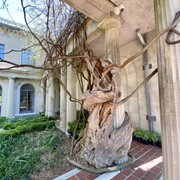 VAN VLECK HOUSE & GARDENS - 275 Photos & 39 Reviews - 21 Van Vleck St ...