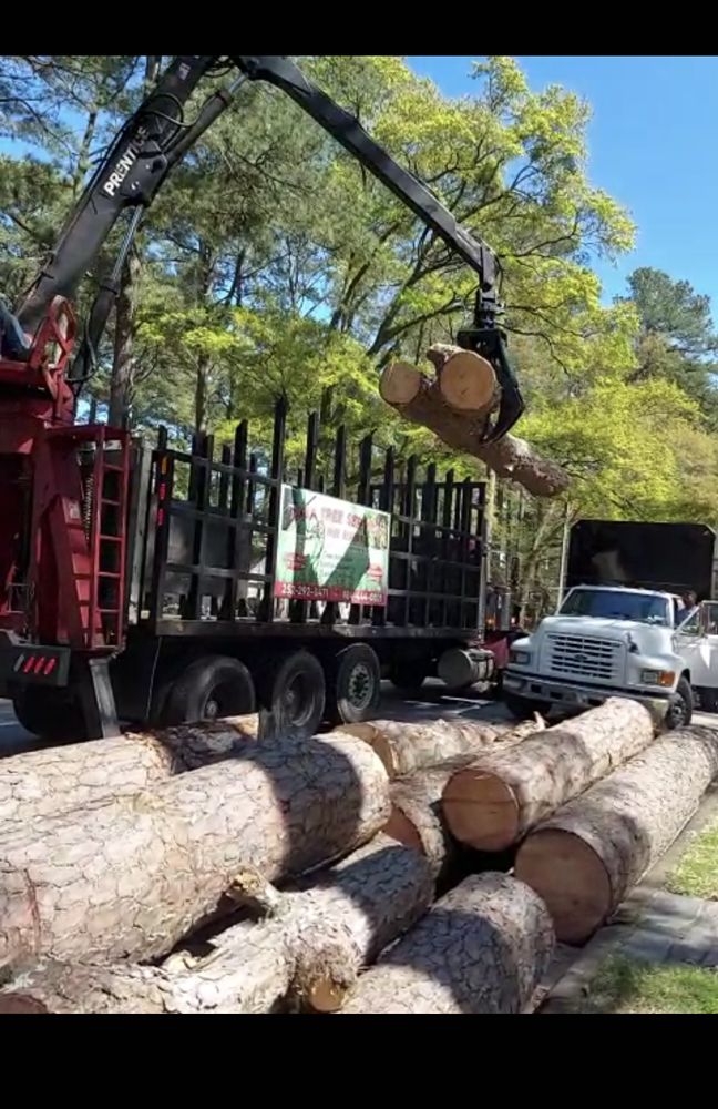 LEO TREE EXPERTS - 18 Photos - 913 Goldsboro St S, Wilson, North Carolina - Tree Services ...