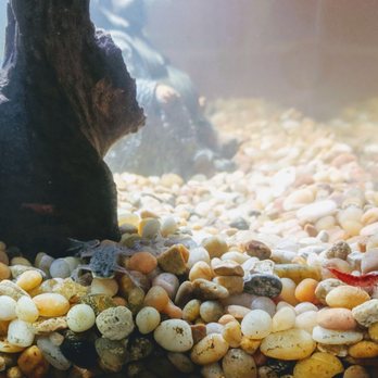 FISH DEN - Updated July 2025 - 21 Photos & 86 Reviews - 5055 W 44th Ave ...