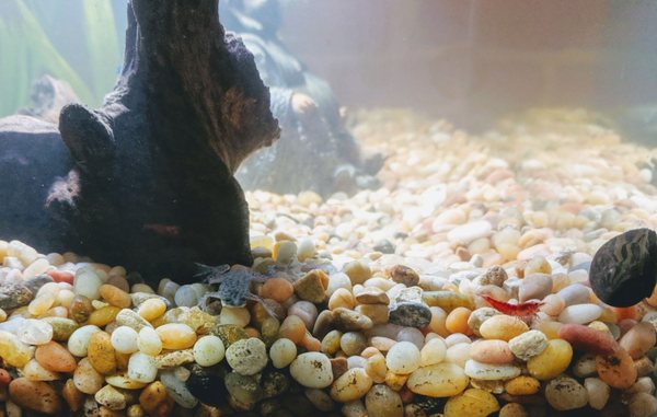 FISH DEN - Updated December 2025 - 21 Photos & 89 Reviews - 5055 W 44th ...