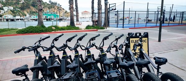 CATALINA E-BIKE RENTALS - Updated July 2025 - 101 Pebbly Beach Rd ...