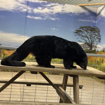 WILSTEM - Updated March 2025 - 332 Photos & 80 Reviews - 4229 W US-150 ...