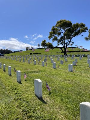 GOLDEN GATE NATIONAL CEMETERY - Updated October 2025 - 123 Photos & 34 ...