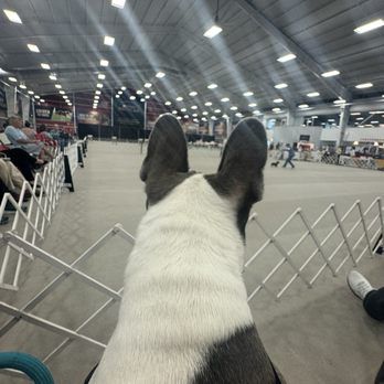 PURINA FARMS - TEMP. CLOSED - Updated December 2025 - 161 Photos & 56 ...