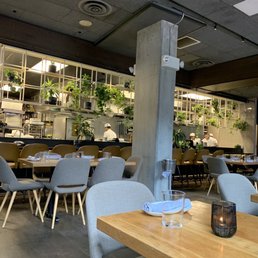 CHLOE - Updated October 2025 - 2053 Photos & 729 Reviews - 1331 4th St ...